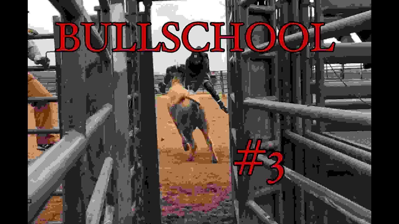 BULLSCHOOL #3 - Behind the scenes of American BullFighting - YouTube