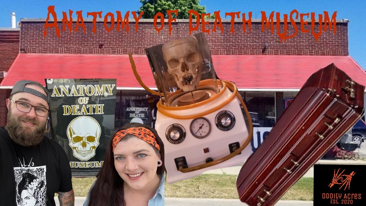 Anatomy Of Death Museum - YouTube