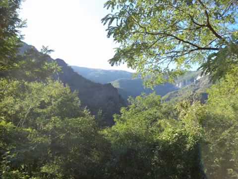 Lautarii din Babiciu- Frunzulita ca lipanul - YouTube