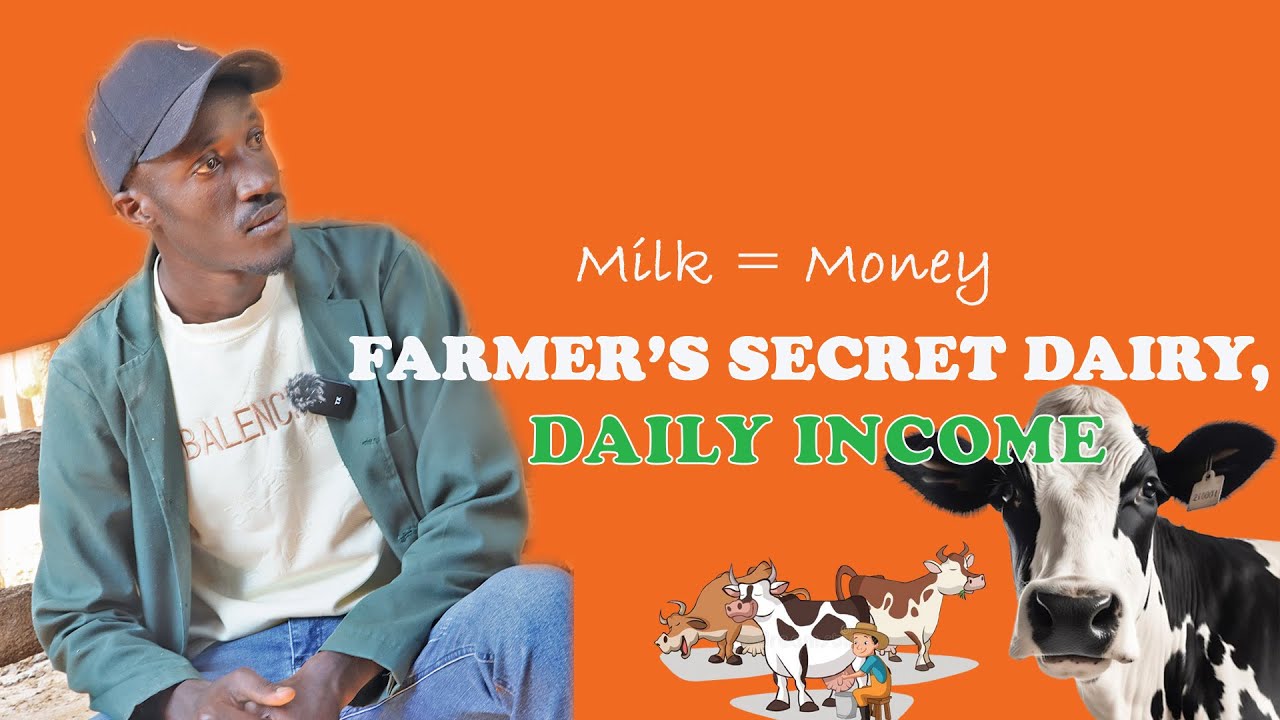 The Future of Milk: Smart & Eco-Friendly Dairy Farms Fresh Milk Every ...