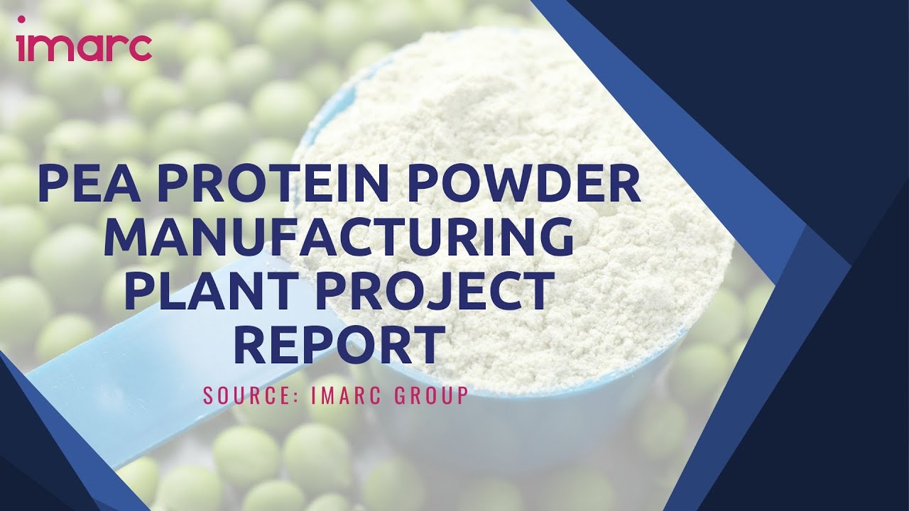 How to Start a Pea Protein Powder Manufacturing Plant: Project Cost ...