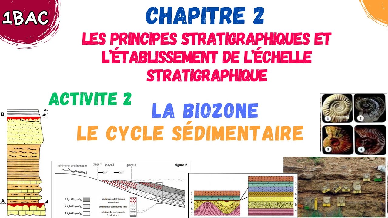 chapitre 2 | principes stratigraphiques | Activité 2: Notions de la Biozone et le cycle ...