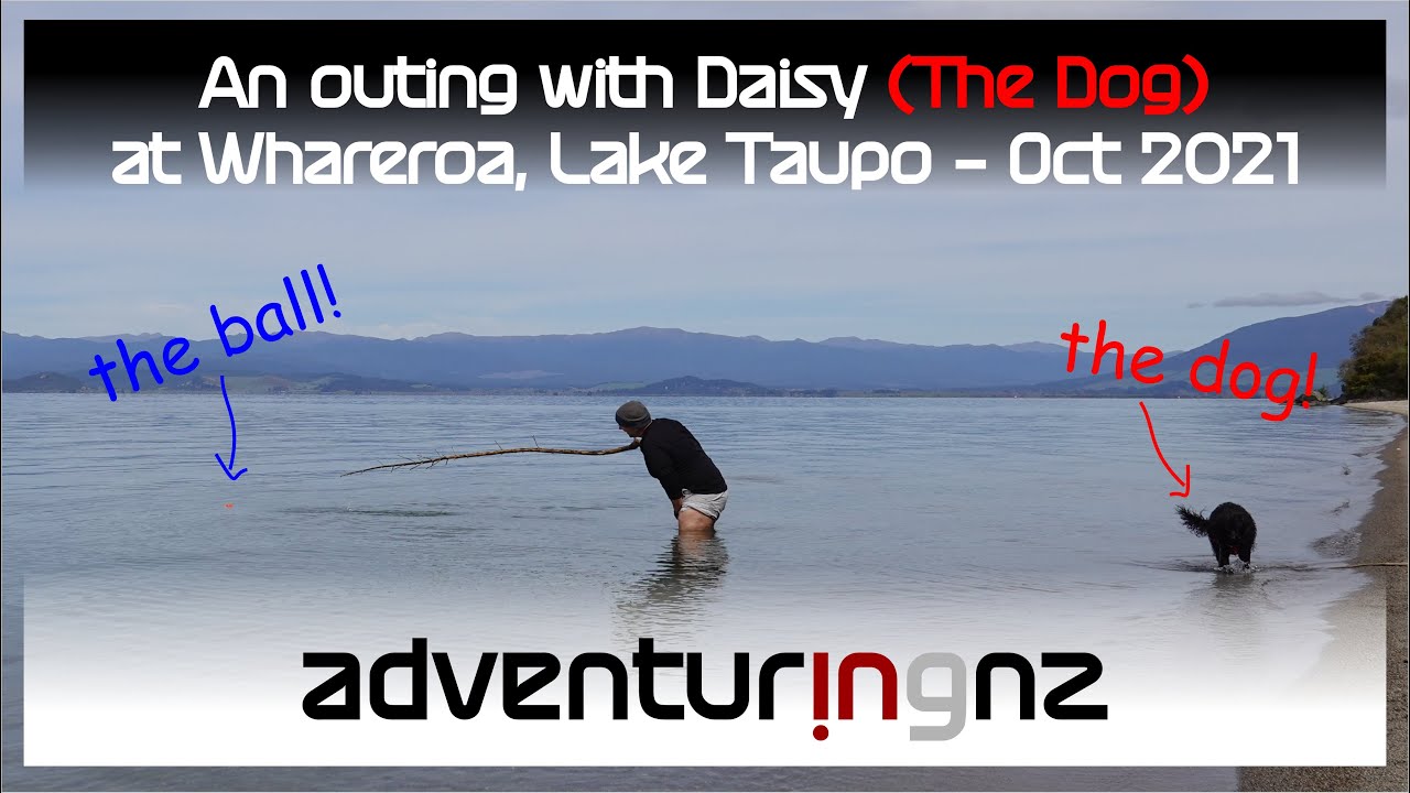 Best Beach at Lake Taupo, Whareroa - with Daisy (the Dog) - YouTube