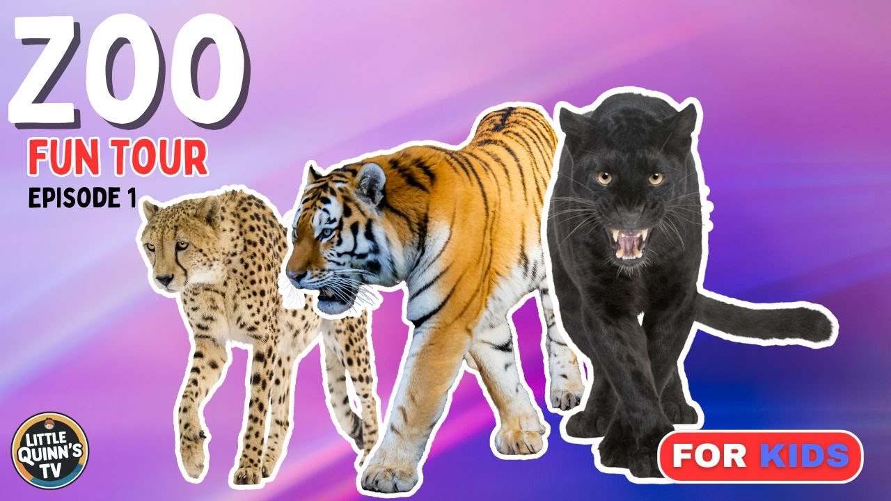 Exciting Zoo Tour for Kids | Zoo Tour episode 1 (The Big Cats) - YouTube