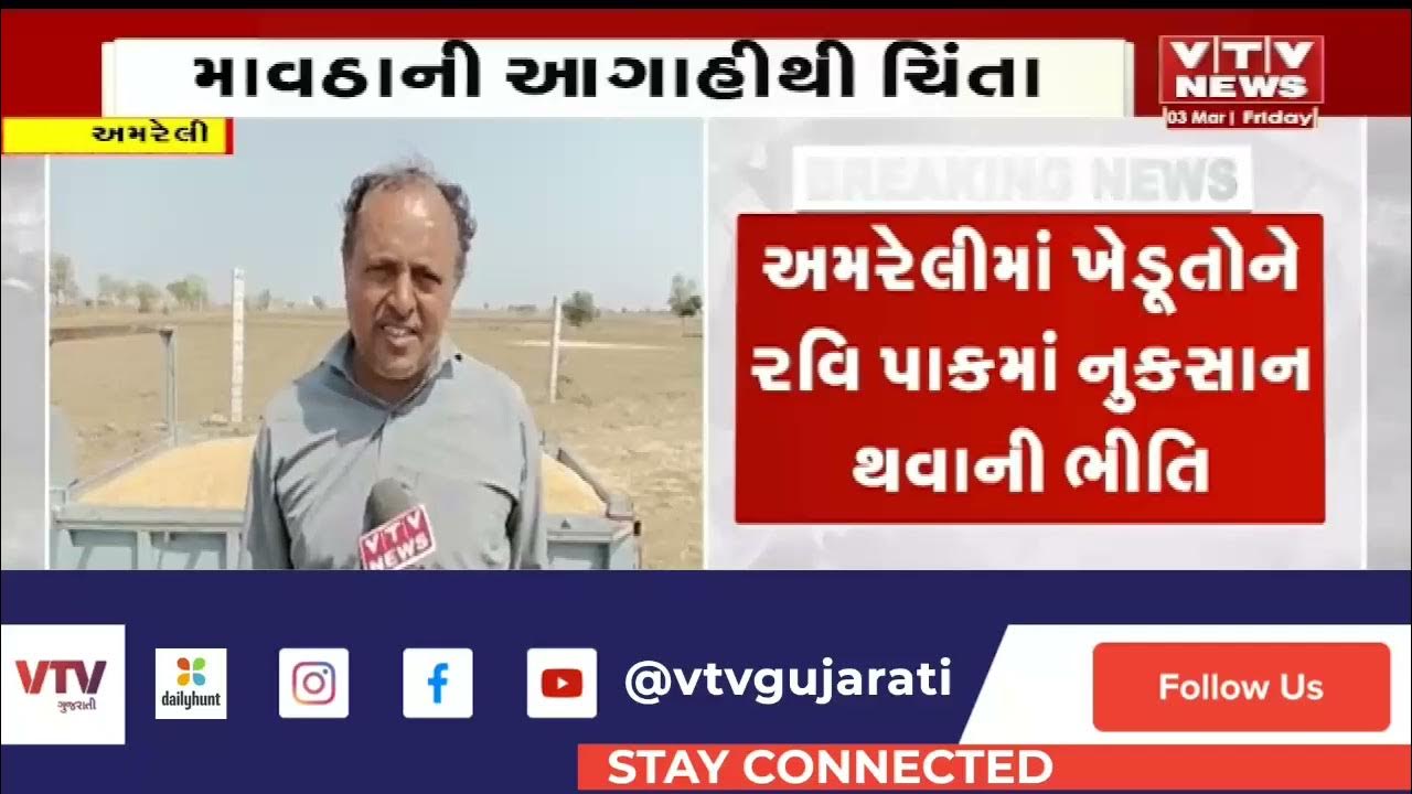 Amreli News: રાજ્યમાં માવઠાની આગાહીને લઇ અમરેલીના ખેડૂતો ચિંતામાં - YouTube