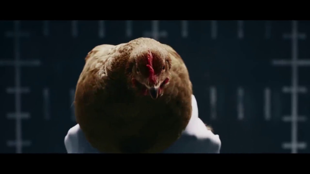 Mercedes Benz “Chicken” MAGIC BODY CONTROL TV commercial - YouTube