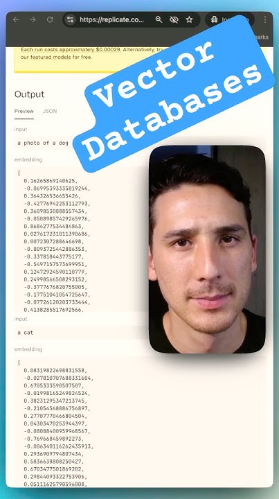 Explaination Vector Databases High Level Javascript Typescript Programming Coding Youtube