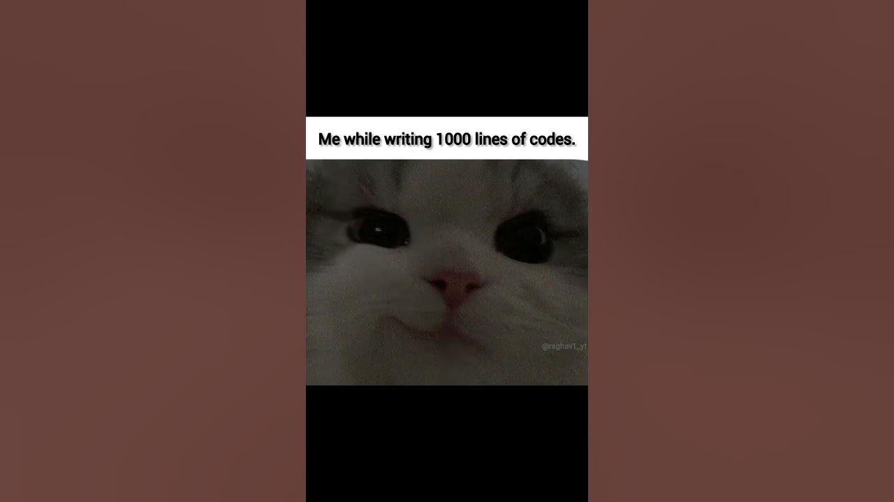 Relatable 💀💀 #techhumor #shorts #programmer #programming #coding #coder #code #devloper # ...