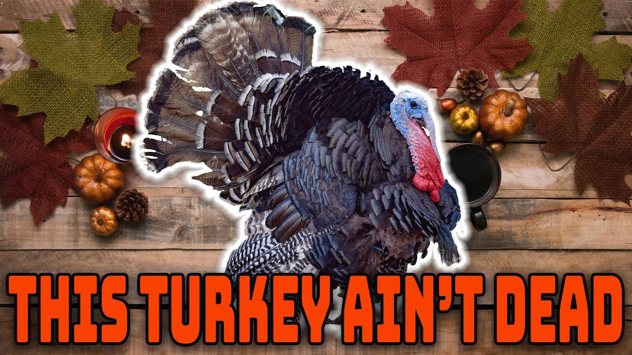 This Turkey Ain't Dead (Doja Cat Parody) | Young Jeffrey's Song of the ...
