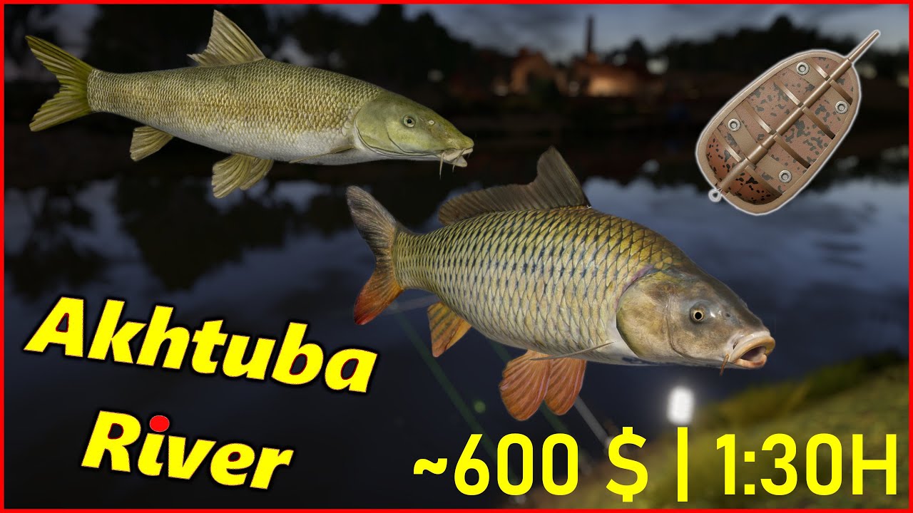 Russian Fishing 4 Aral Barbel & Wild Carp Akhtuba River rf4 spot #55 # ...
