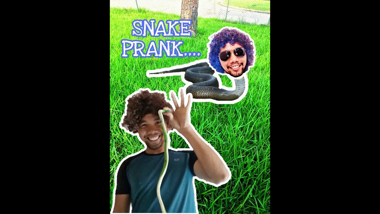 SNAKE PRANK - YouTube