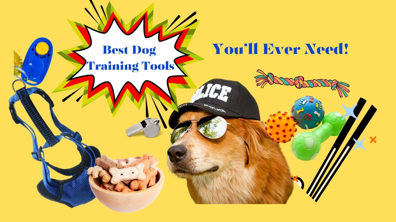 The Best Dog Training Tools You’ll Ever Need - YouTube