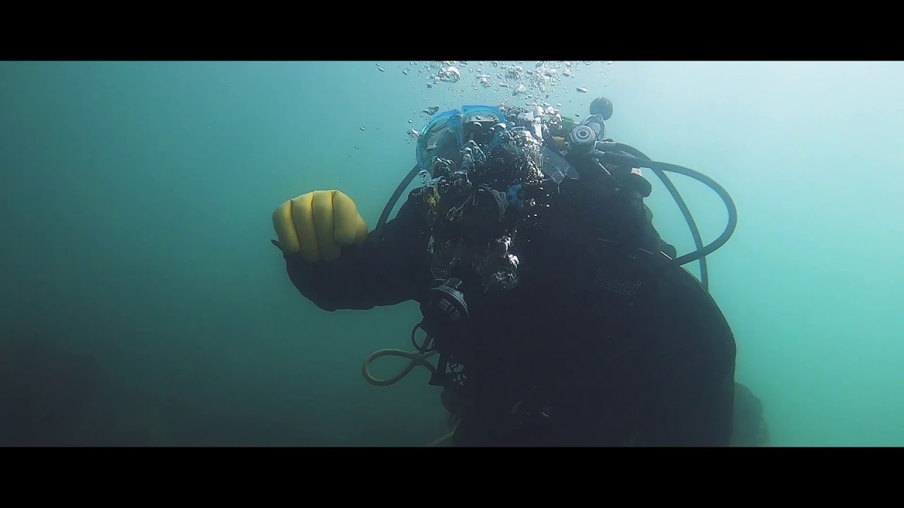 Newton's Cove 28/06/2020 diving in UK - YouTube