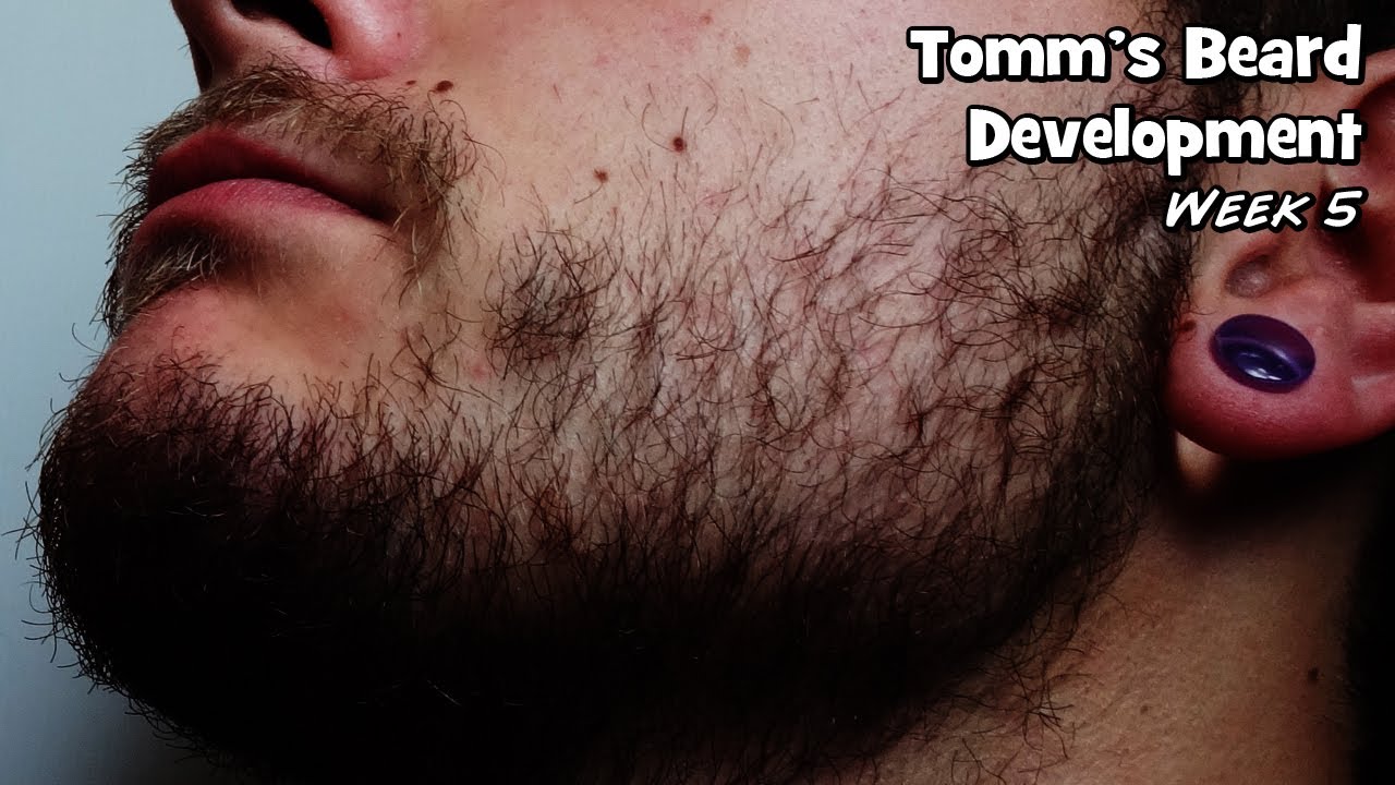 Beard Development - Week 5 - YouTube