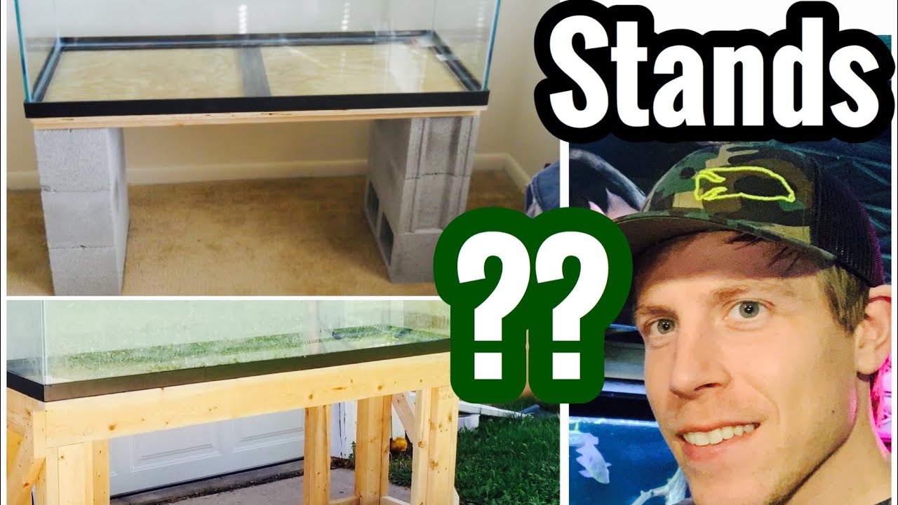 Aquarium Stand Shelving, DIY Wood, Concrete Blocks, Metal? - YouTube