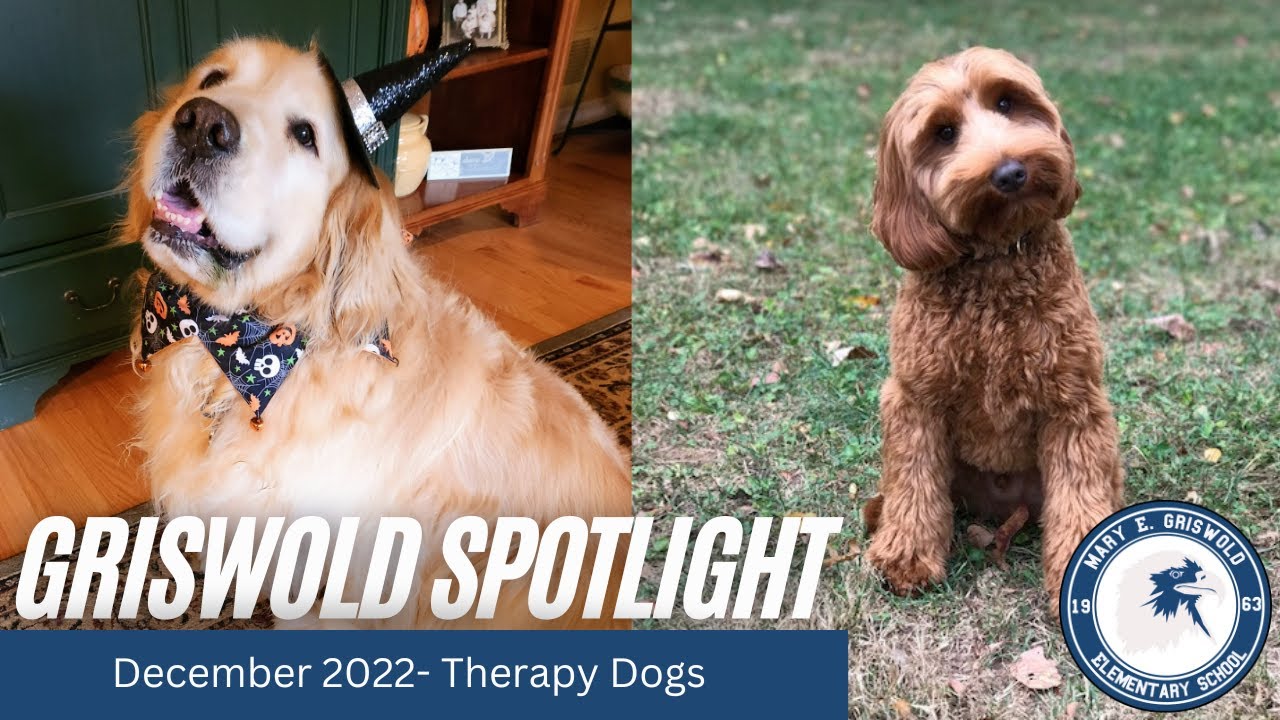 Griswold Spotlight December 2022 - YouTube