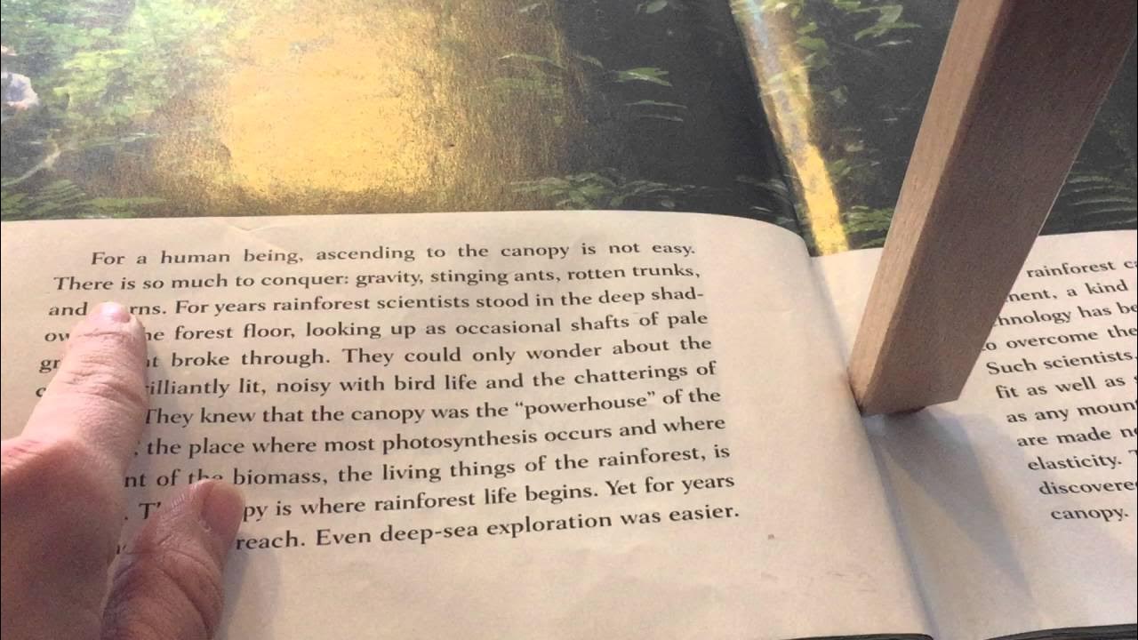 The Most Beautiful Roof in the World - pages 9_10 - Lesson 3 Section 1 ...