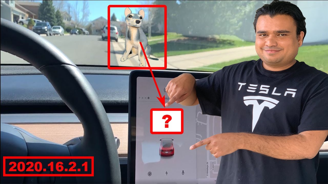 Tesla Update 2020.16.2.1 - New Pedestrian Detection - Does it also ...