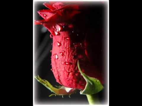 ZÜLEYHAYI BİRDE BÖYLE DİNLEYİN