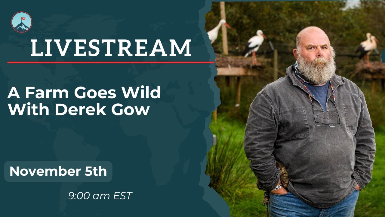A Farm Goes Wild With Derek Gow - YouTube