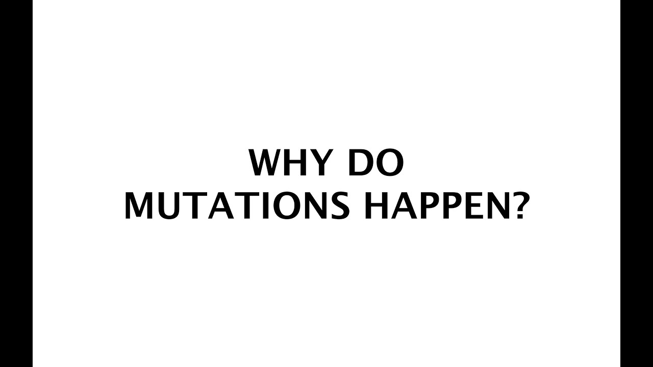 Why do Mutations Happen (#26) - YouTube
