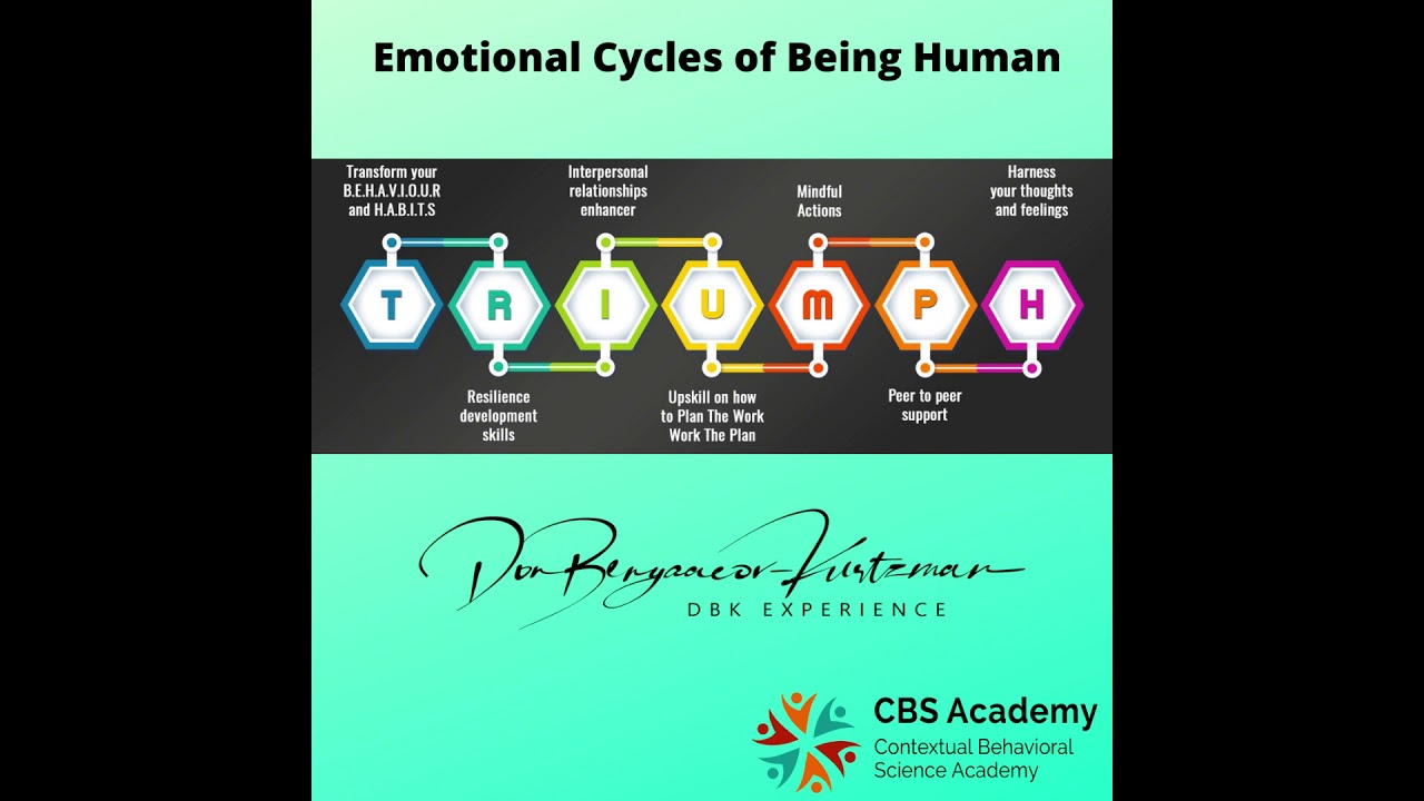 Emotional Cycles of Being Human - YouTube