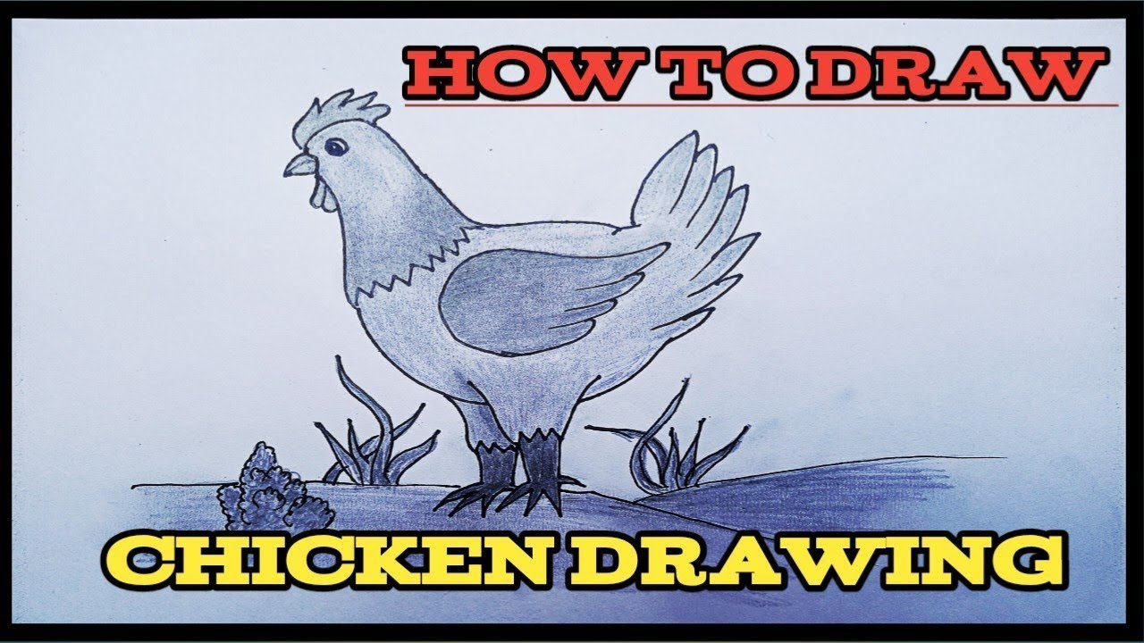 Beautiful Hen Drawing Tutorial / How To Draw Hen In Easy Steps - YouTube