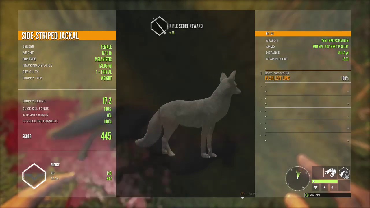 Thehunter: Call of the Wild Melanistic Side-Stripe Jackal - YouTube