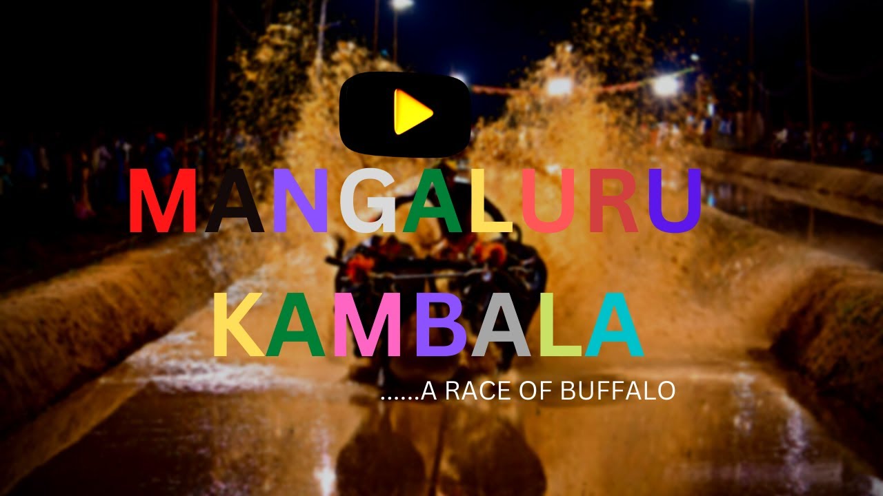 Mangalore Kambala Final Race 2022 || India's traditional 'kambala ...