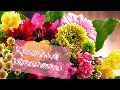 #красивые пожелания #love #flowers #красота #пожелания #пожеланиехорошегодня