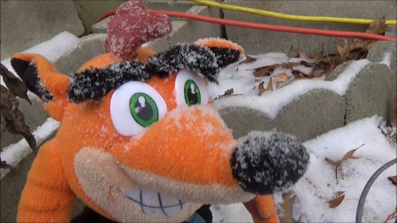 CBP Short: Snow Dog (End of 2017/New Years Eve Special) - YouTube