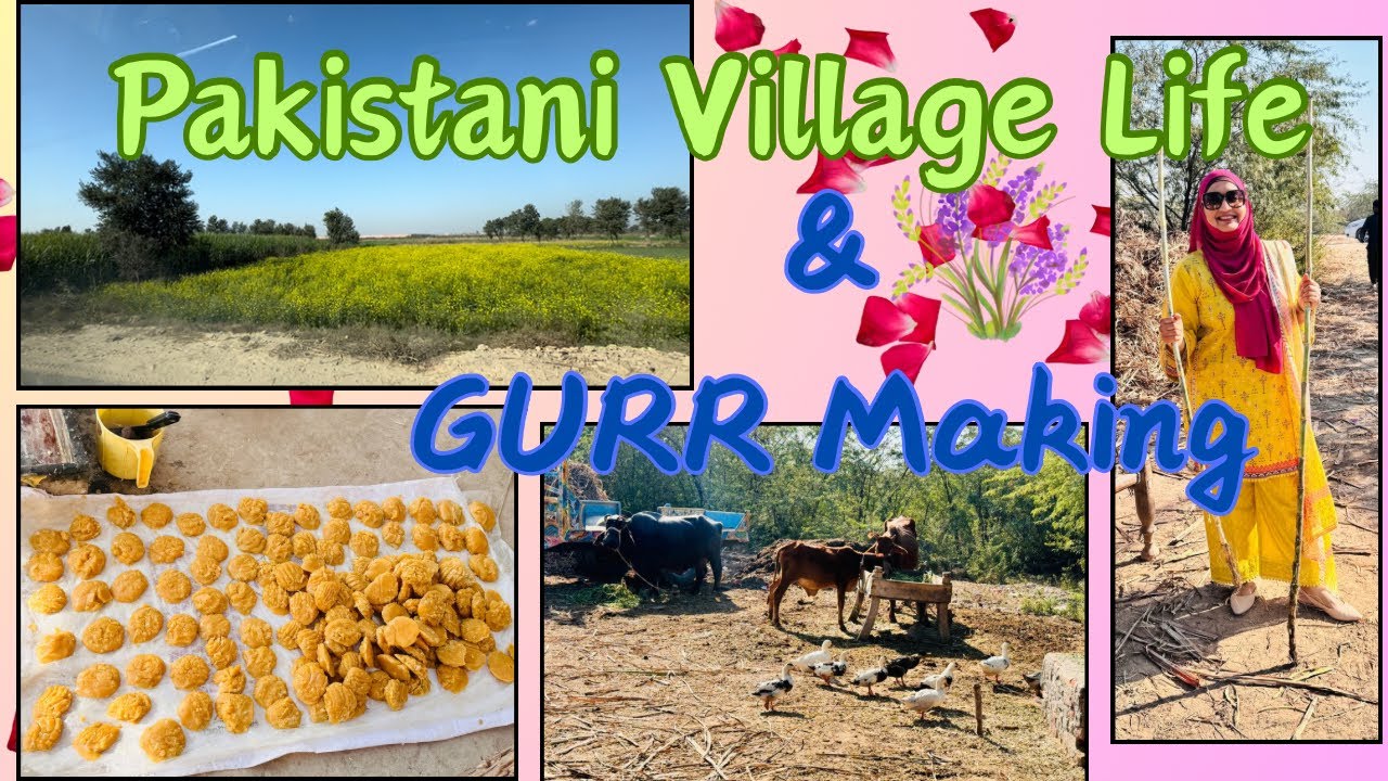 Pakistani Village Trip - Gurr making - Bailna fun time - Purani yadaian ...