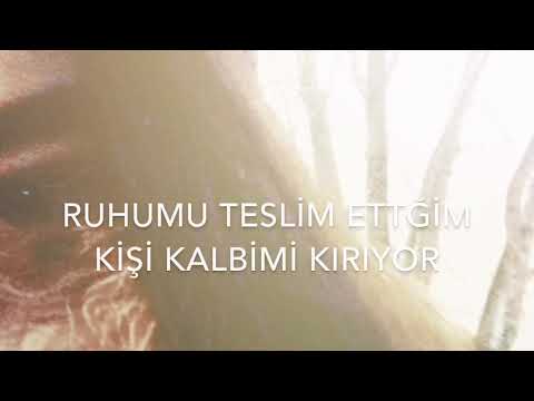 Whatsapp üçün status