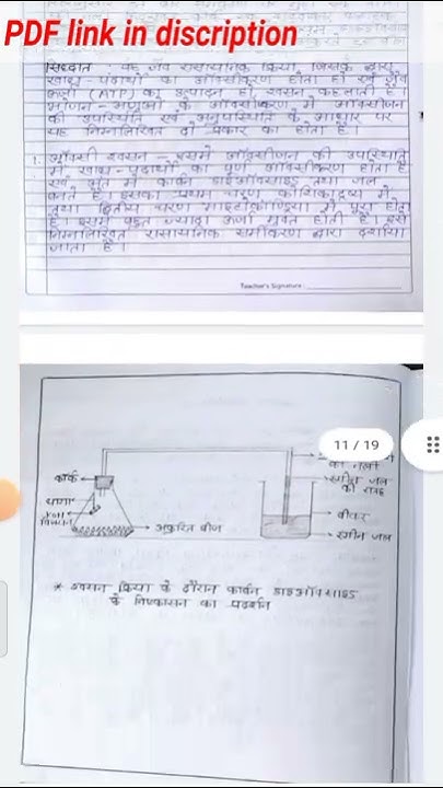 Practical copy class 10/class 10 practical book biology/jac practical ...