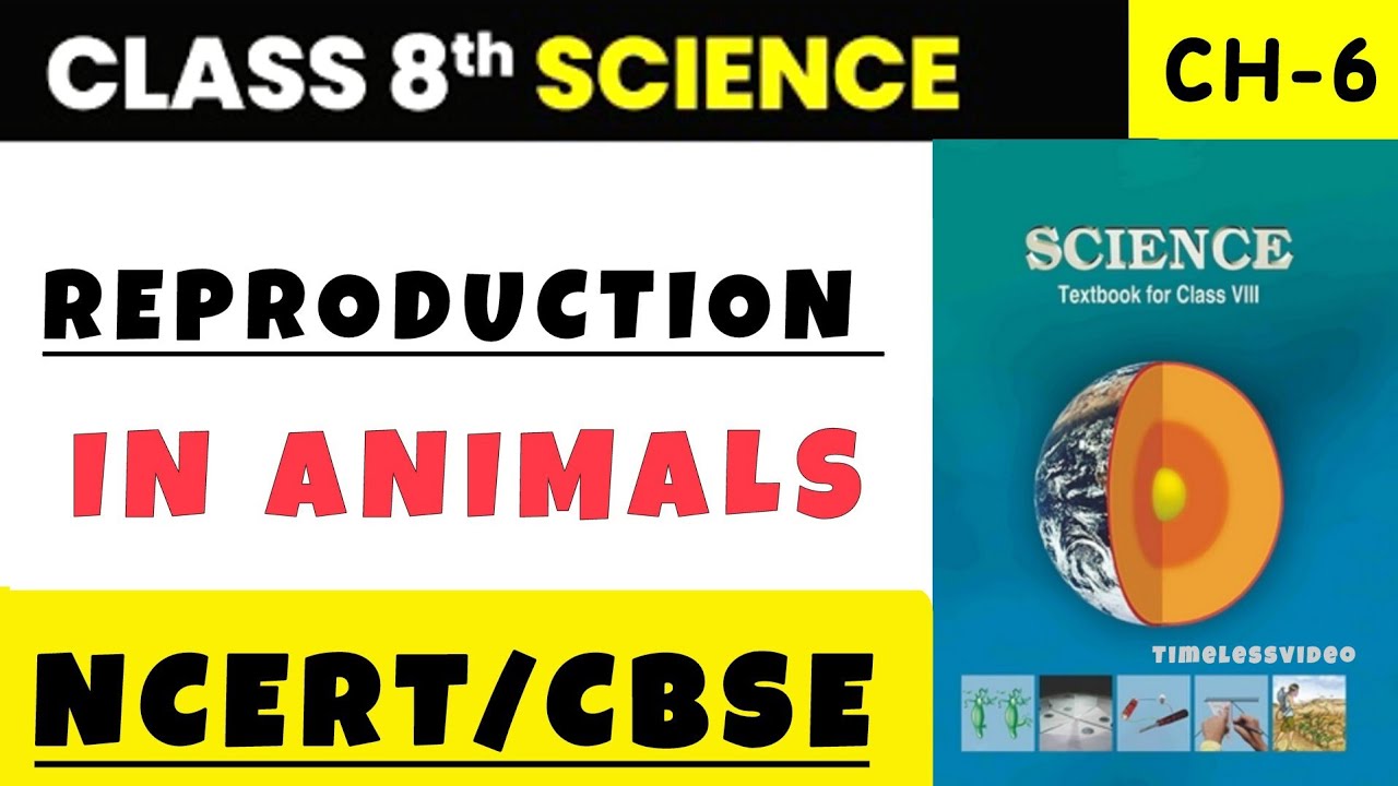 NCERT SCIENCE Class 8 Chapter 6 in Hindi | विज्ञान कक्षा 8 अध्याय 6 ...