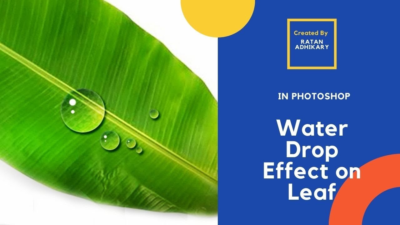 How To Make Water Drop Effect On The Leaf In Your Photograph Or Images how-to-make-water-drop-effect-on-the-leaf-in-your-photograph-or-images