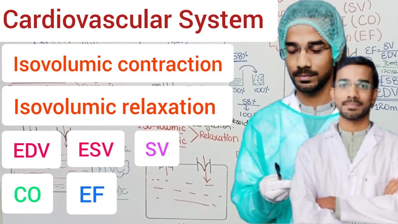 Isovolumic Contraction/Relaxation...Period of ejection # ...