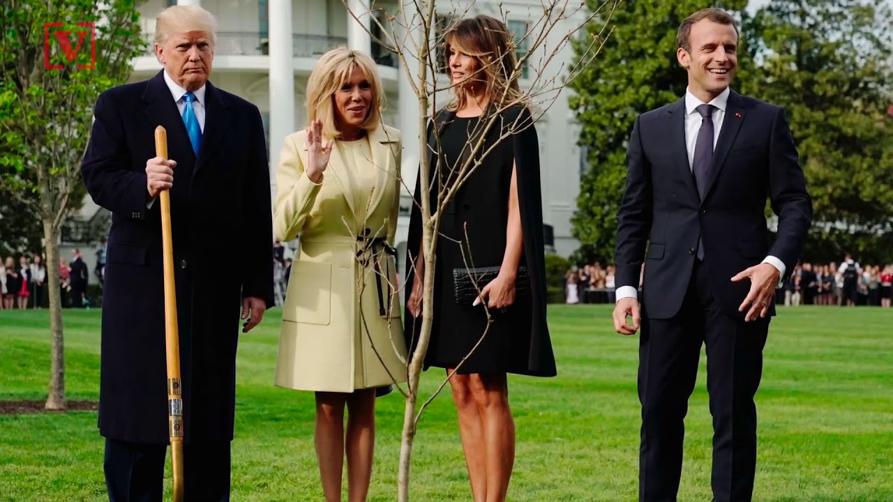 President Trump Gets Bashed On Social Media For Planting A Tree - YouTube