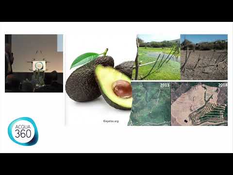 ACQUA360/2023 - C. Zali & R. Domeniconi (deutsch)