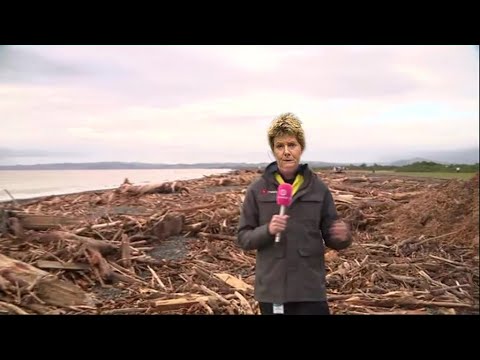 New 1 News promo featuring Vicki Wilkinson-Baker - YouTube