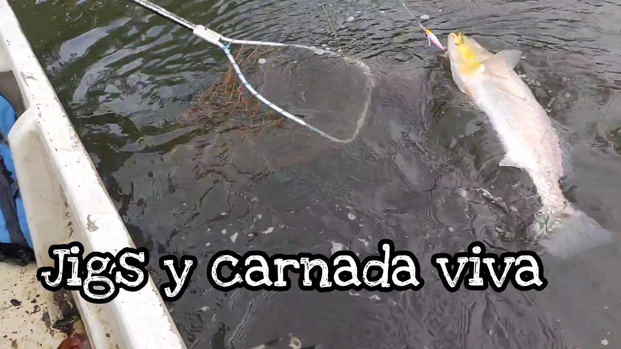 Pesca Mixta con Jigs y Carnada viva/Huaquillas el Oro Ecuador 🎣 - YouTube