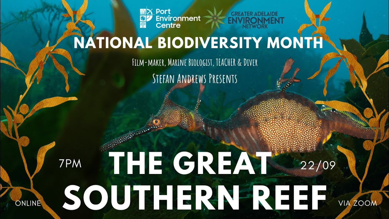 The Great Southern Reef with Stefan Andrews - YouTube
