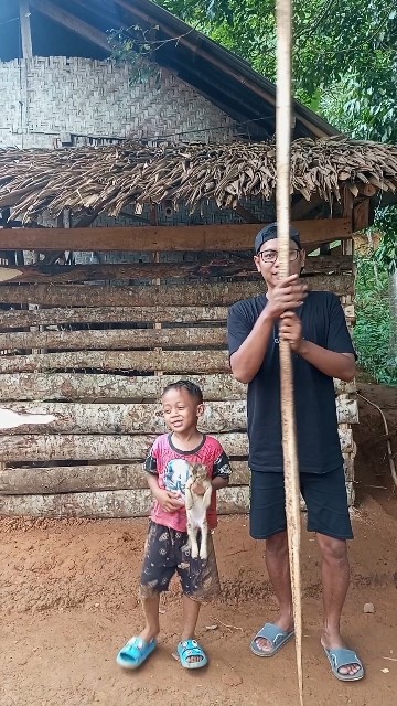 Kucing naik ke atap rumah dan susah turun - YouTube