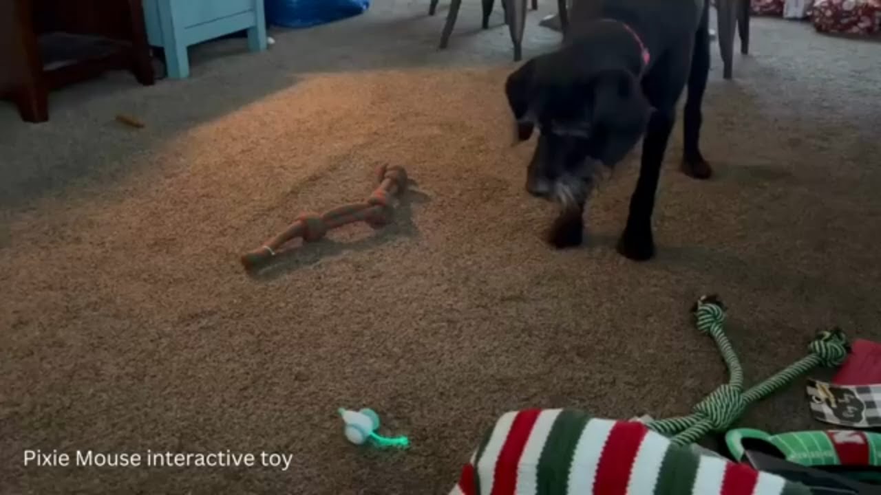 Pixie Mouse interactive toy - YouTube