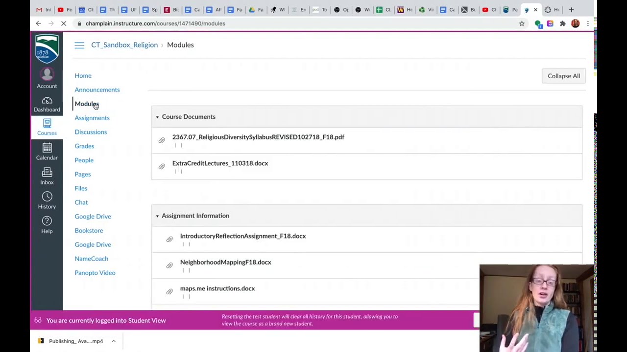 Overview of Canvas Student View - YouTube