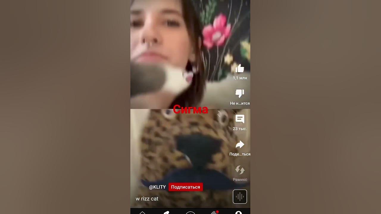 в р е к о м е н д а ц и вленту сигма Youtube