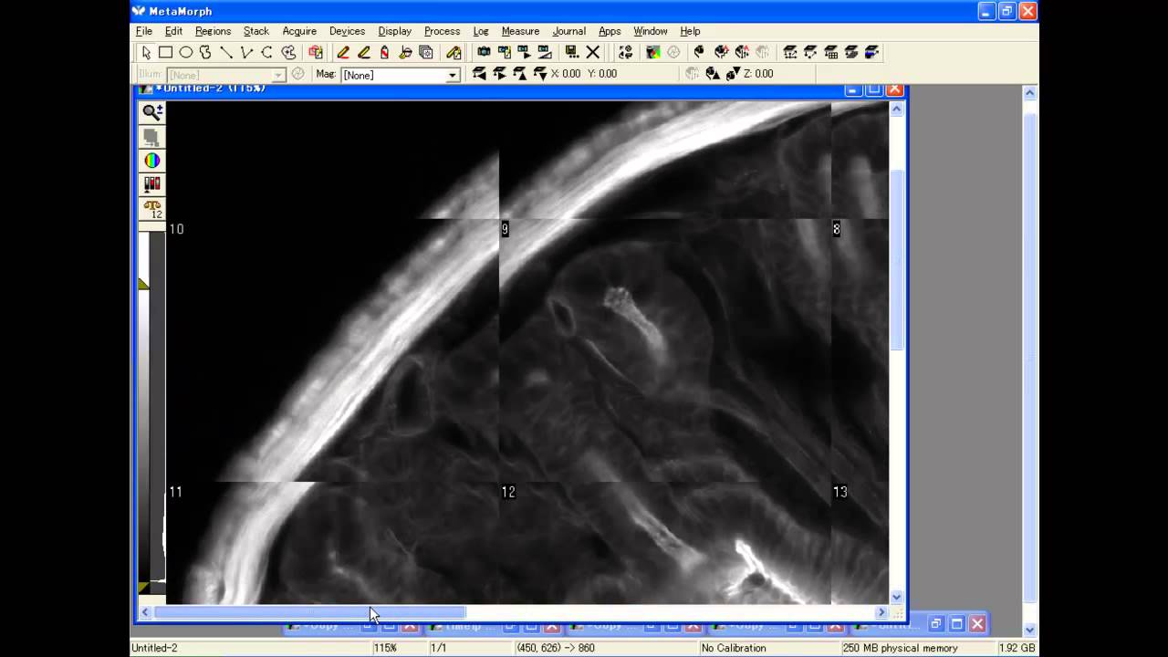 MetaMorph Montage Stitchについて - YouTube