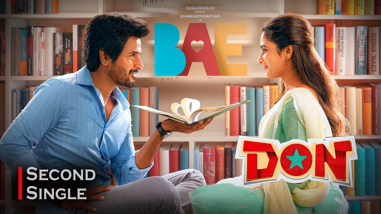 Bae From Don, Don second single, bae don song, don bae song ...