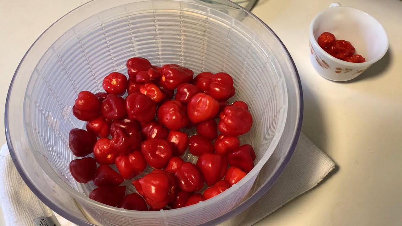 How to make hot sauce using the vacuum bag fermentation method - YouTube
