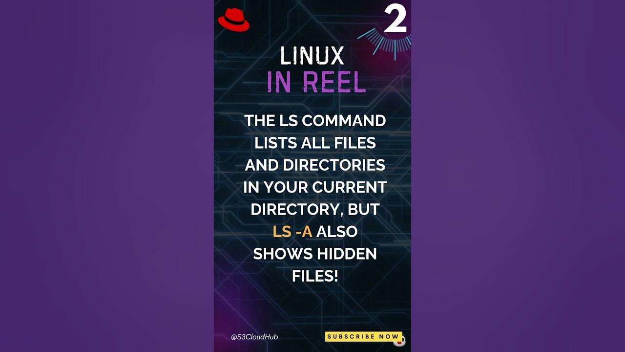 Linux Command Linux Linuxcommands Linuxtutorial Linuxskills S3cloudhub Youtube